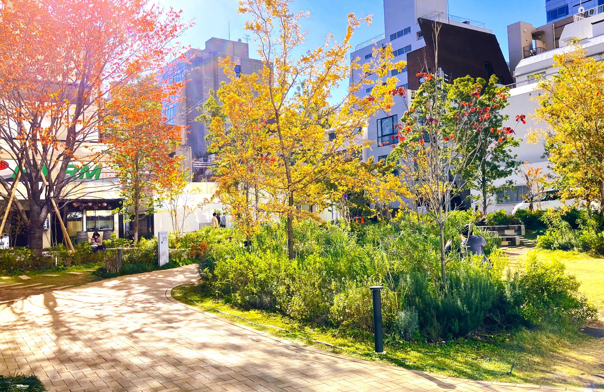 渋谷のイメージが180°変わる！ 桜丘ってどんな町？ – 明日の生活を彩るHANADA Life Up JOURNAL | 学校法人 花田学園